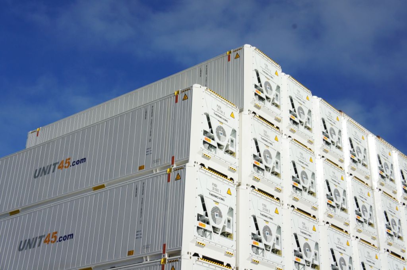 MEAT DE/E REEFER | UNIT45 Containers